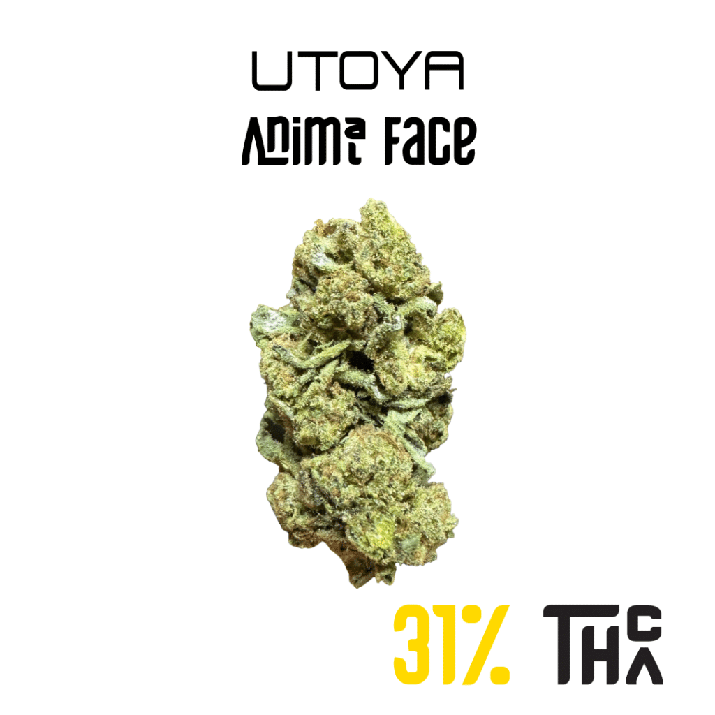 Flower - Utoya Wholesale Hemp Products